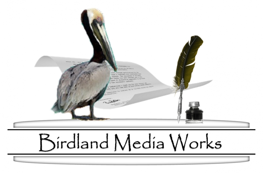 Birdland Media Works Logo Design - 48hourslogo