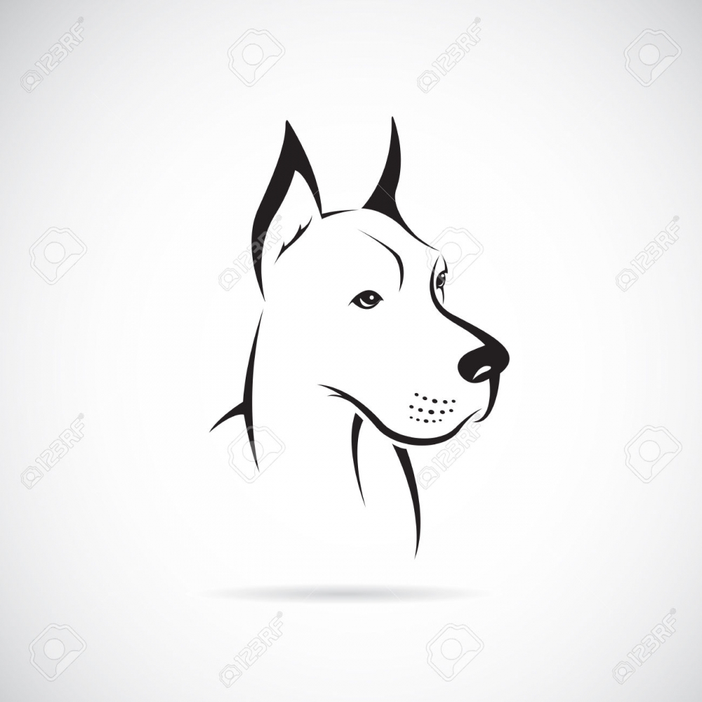 White Dog Logo Design - 48hourslogo