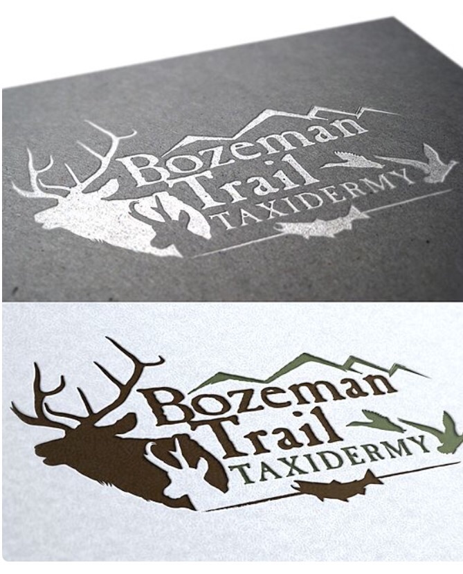 G5 Taxidermy Logo Design - 48hourslogo
