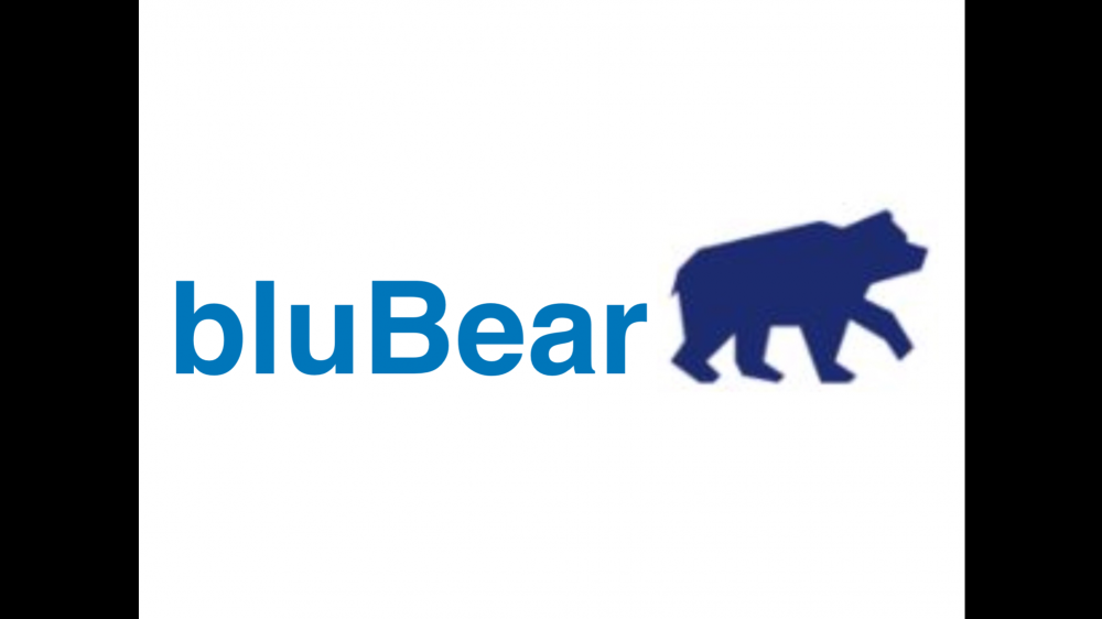 bluBear Logo Design - 48hourslogo