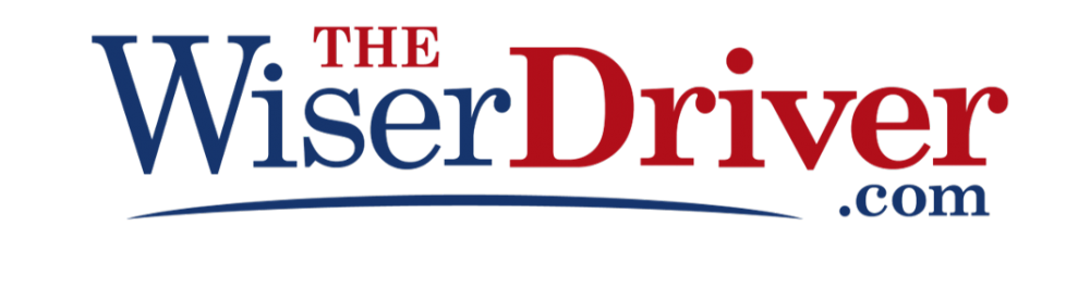 The Wiser Driver Logo Design - 48hourslogo