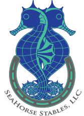 Del Mar Safety Apparel Logo Design - 48hourslogo