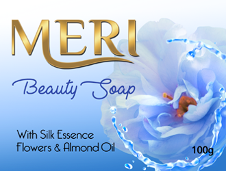 MERI logo design - 48hourslogo.com