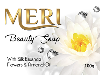 MERI Logo Design - 48hourslogo