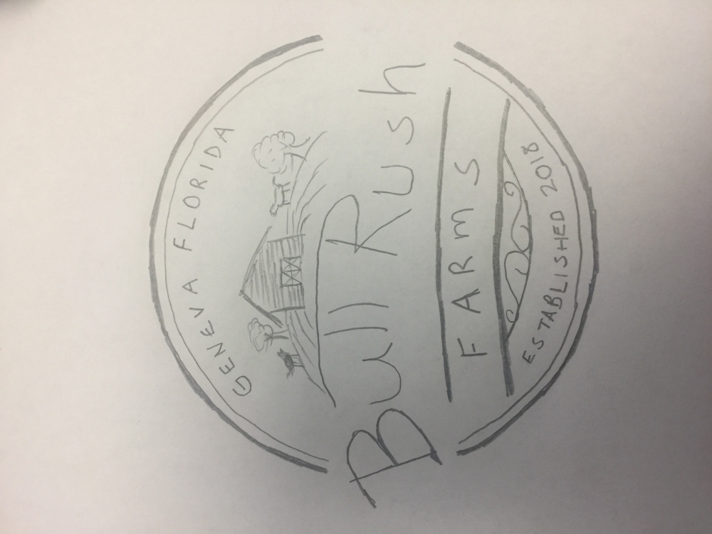 Bull Rush Farms Logo Design - 48hourslogo