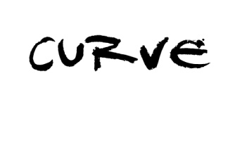 curvy business Logo Design - 48hourslogo