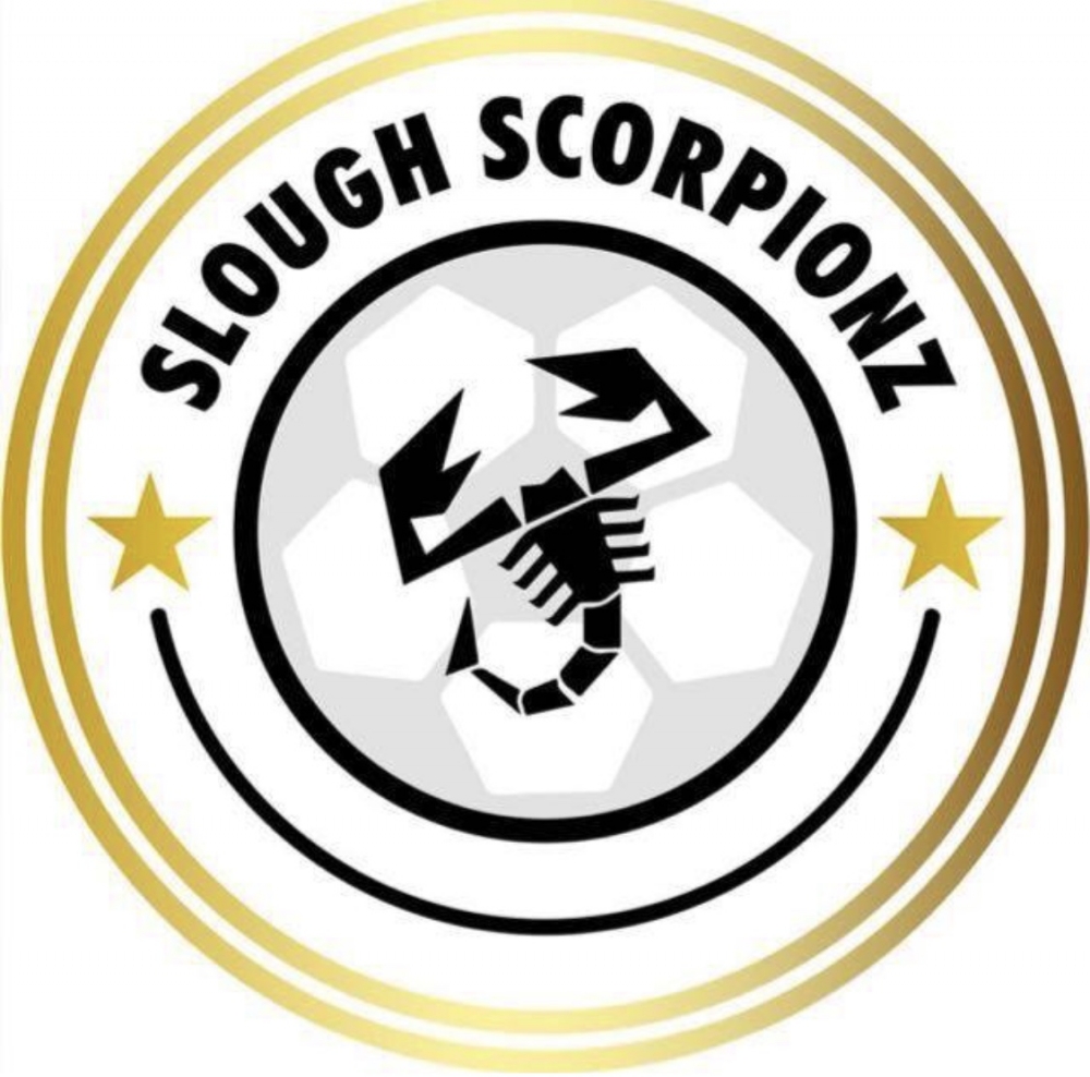 Slough Scorpionz Logo Design - 48hourslogo