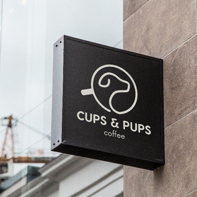 Pawsible Logo Design - 48hourslogo