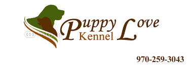 Silver Paws Lodge Logo Design - 48hourslogo