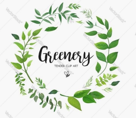 Our Little Forest Logo Design - 48hourslogo