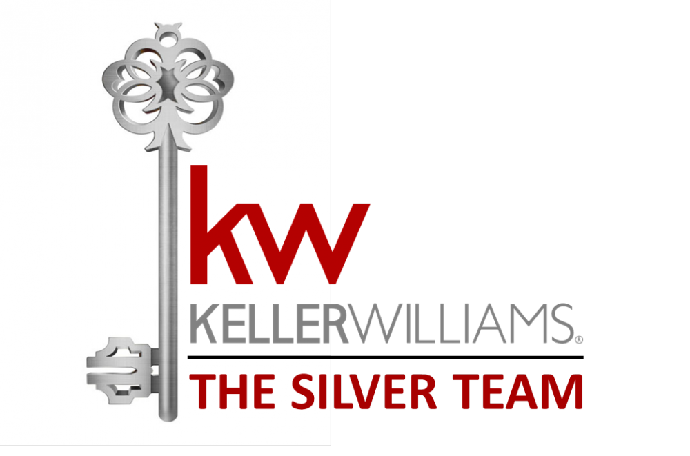 The Silver Team Logo Design - 48hourslogo
