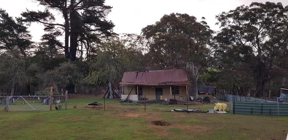 Badja Forest Farm Logo Design - 48hourslogo