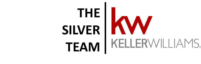 The Silver Team Logo Design - 48hourslogo