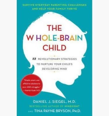 Dr. Maegan Stanga Whole Brain Wellness Logo Design - 48hourslogo