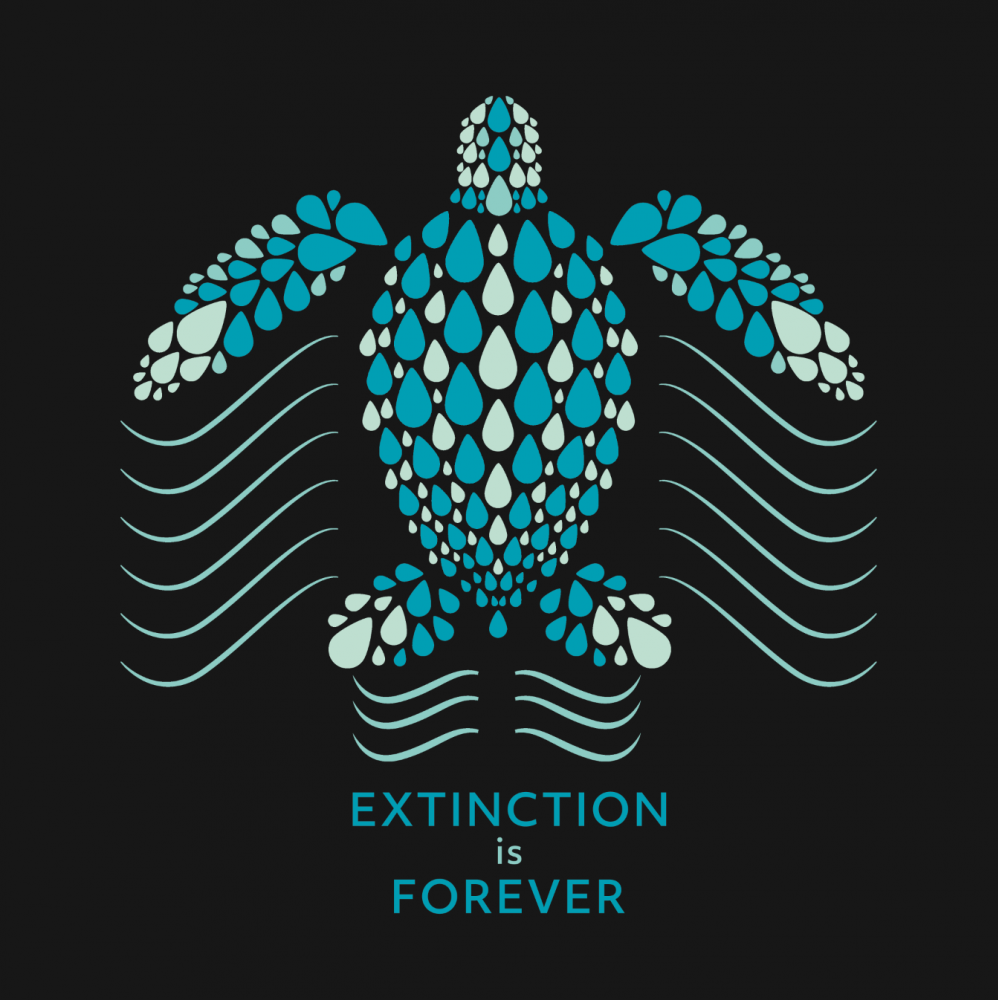 The Leatherback Project Logo Design - 48hourslogo