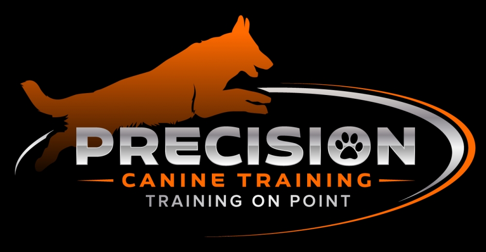 Precision Canine Training Digital Design - 48hourslogo