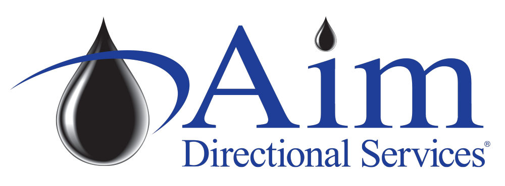 Aim Directional Services Logo Design - 48hourslogo