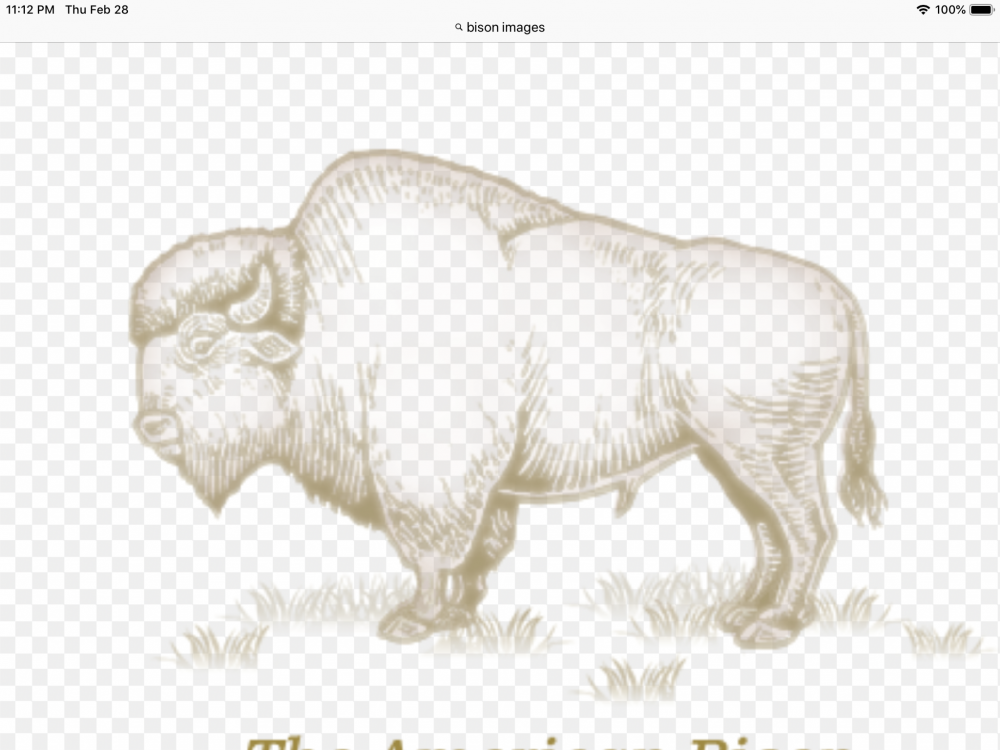 Iron Bison Ranch Logo Design - 48hourslogo