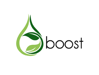 Boost (Willing to use Boost Crew) Logo Design - 48hourslogo
