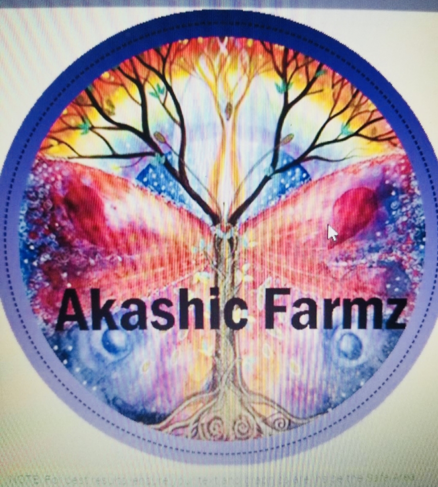 Akashic farmz Logo Design - 48hourslogo