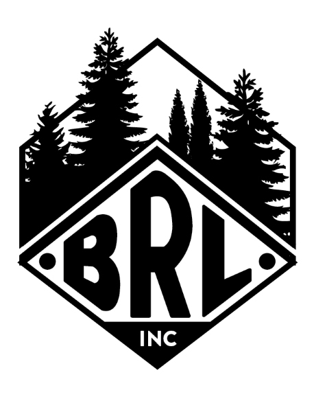 BayRoot Landscaping Inc. Logo Design - 48hourslogo