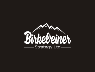 Birkebeiner Strategy Ltd Logo Design - 48hourslogo