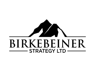 Birkebeiner Strategy Ltd Logo Design - 48hourslogo