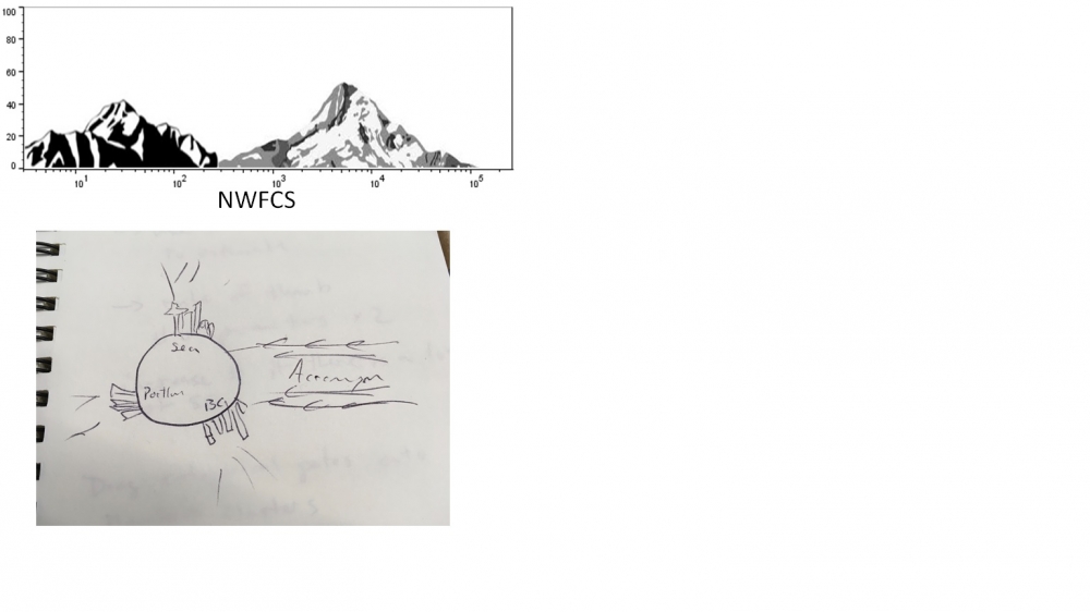 Northwest Flow Cytometry Society (NWFCS) Logo Design - 48hourslogo