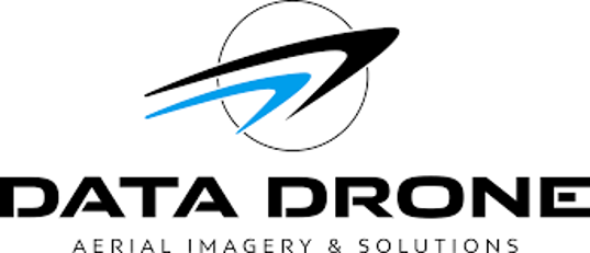 SkyDrone Services Logo Design - 48hourslogo