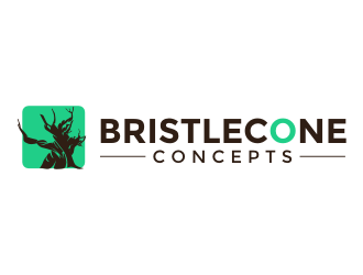 Bristlecone Concepts Logo Design - 48hourslogo
