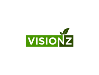 Visionz Logo Design - 48hourslogo