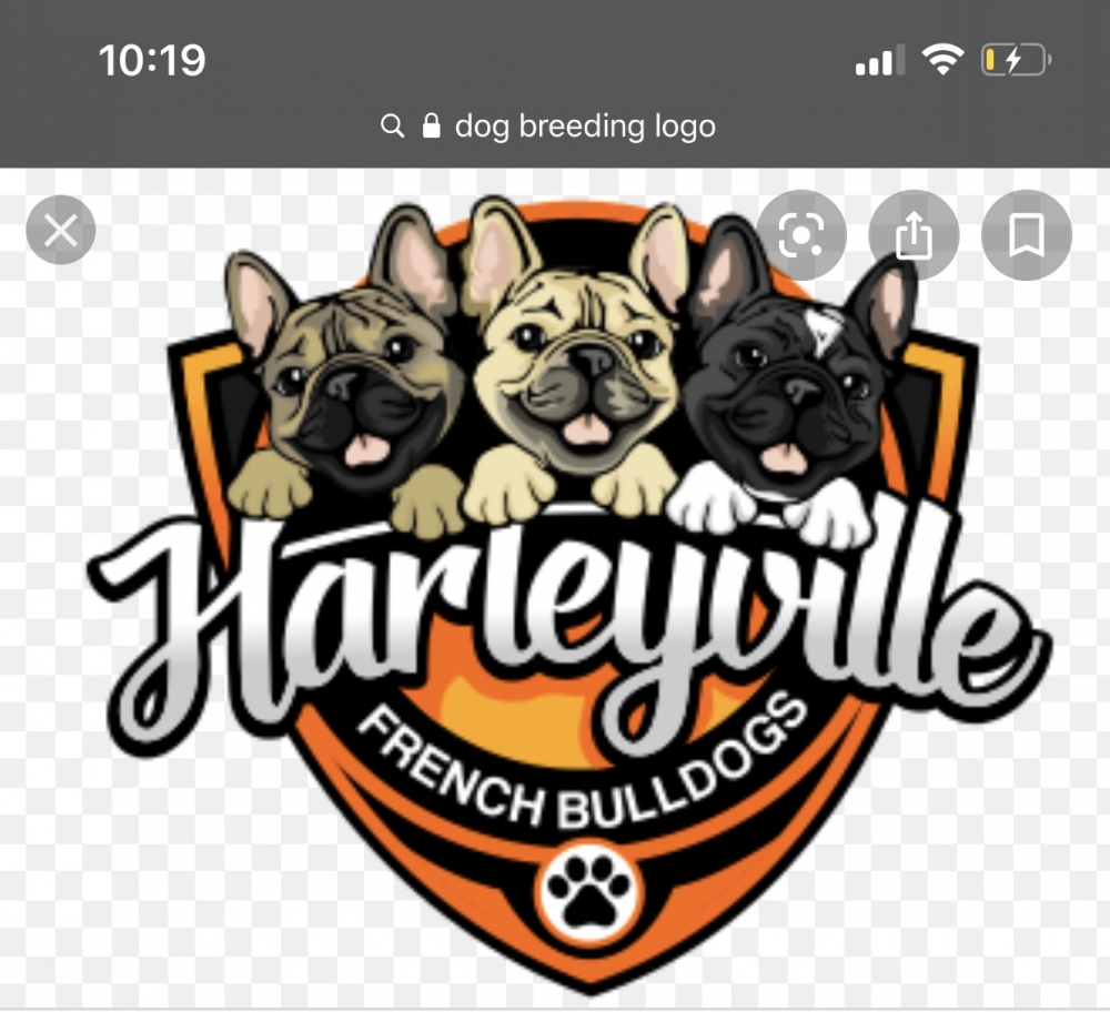 The Dog Mover Logo Design - 48hourslogo