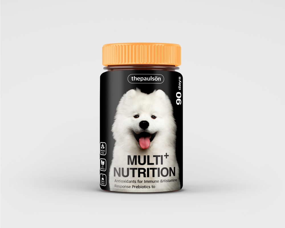 The Paulson (Paulson) Logo Design - 48hourslogo