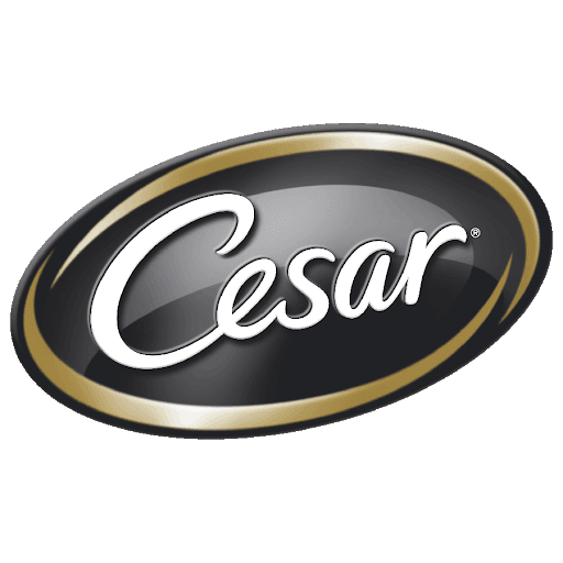 The Paulson (Paulson) Logo Design - 48hourslogo