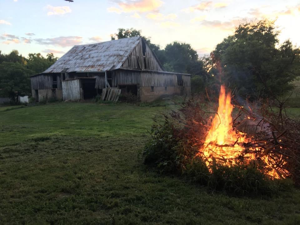 Rough Timber Farms Logo Design - 48hourslogo