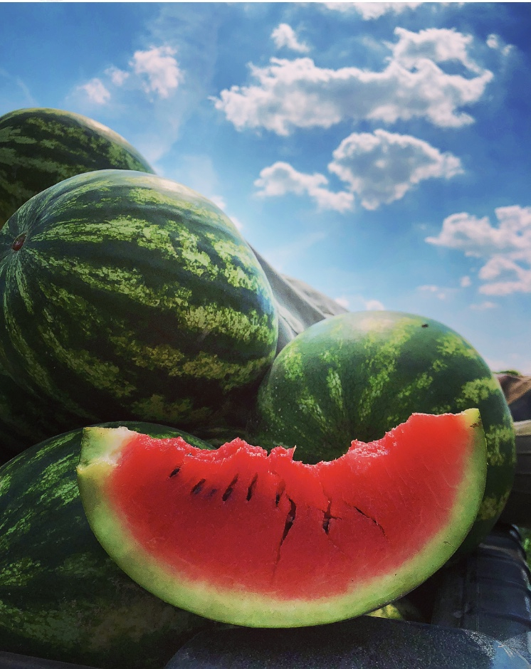 Collins Produce and Flower Farm Logo Design - 48hourslogo