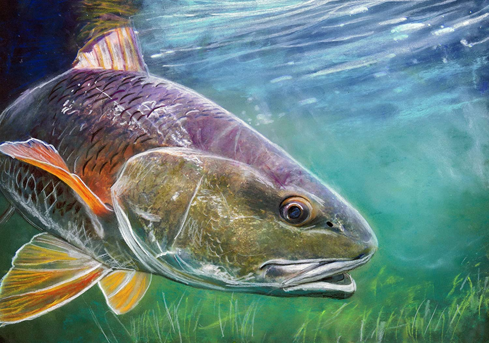 Reel Knotty Logo Design - 48hourslogo