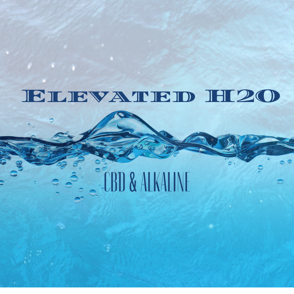 Elevated H2O Logo Design - 48hourslogo