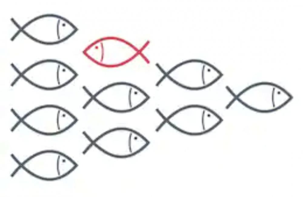 Against the Stream Logo Design - 48hourslogo