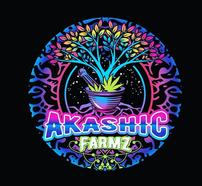 Akashic Corp. Logo Design - 48hourslogo